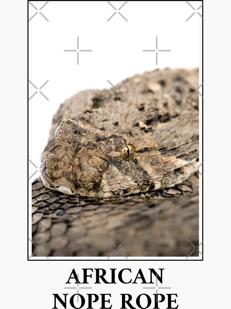 "African Nope Rope - Puff adder Snake Danger" Sticker by GEEK-FACTORY ...