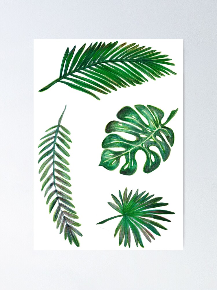 "Leaf Set" Poster for Sale by kopfabhase | Redbubble