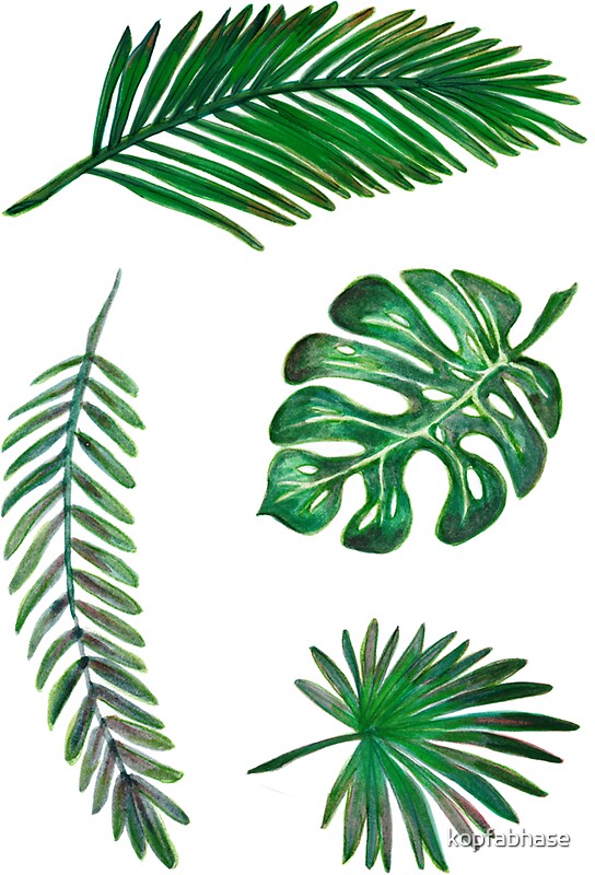Palm Leaf: Stickers | Redbubble