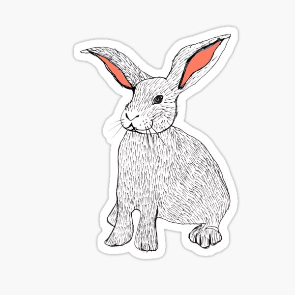 "Rabbits" Sticker by sarahrozdilski | Redbubble