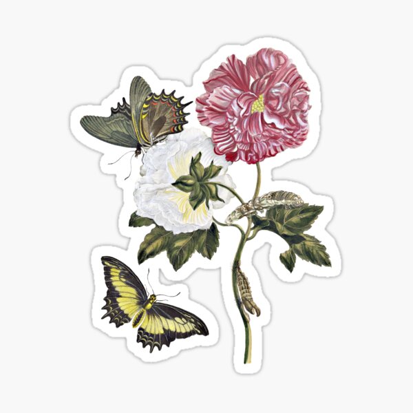 Embellishments Red Admiral Positive Affirmation Butterfly for Mental ...