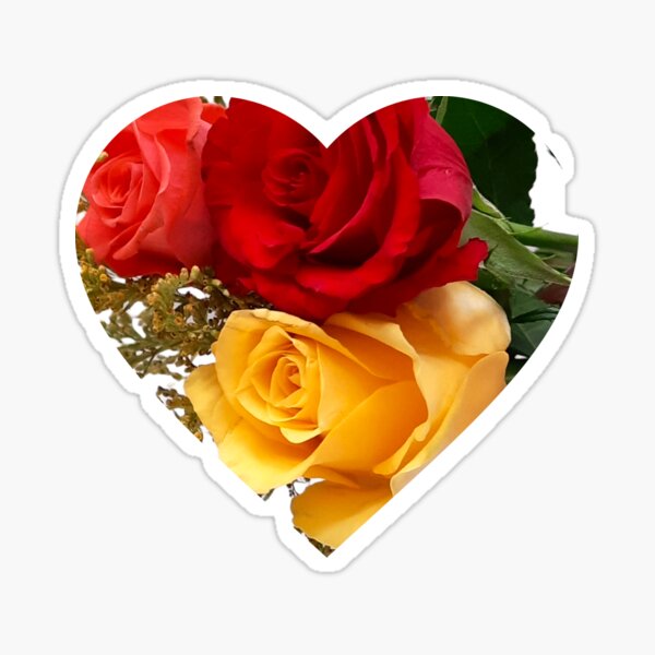 "Trio of Roses Heart - A Floral Photography Design with Red Orange ...