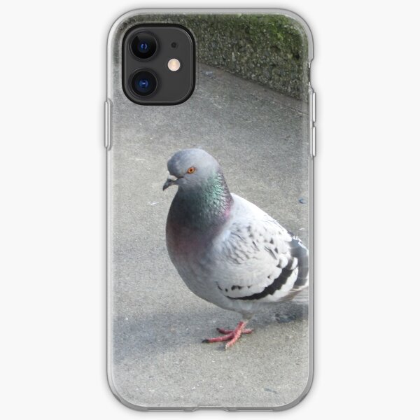 Pigeon iPhone cases & covers | Redbubble