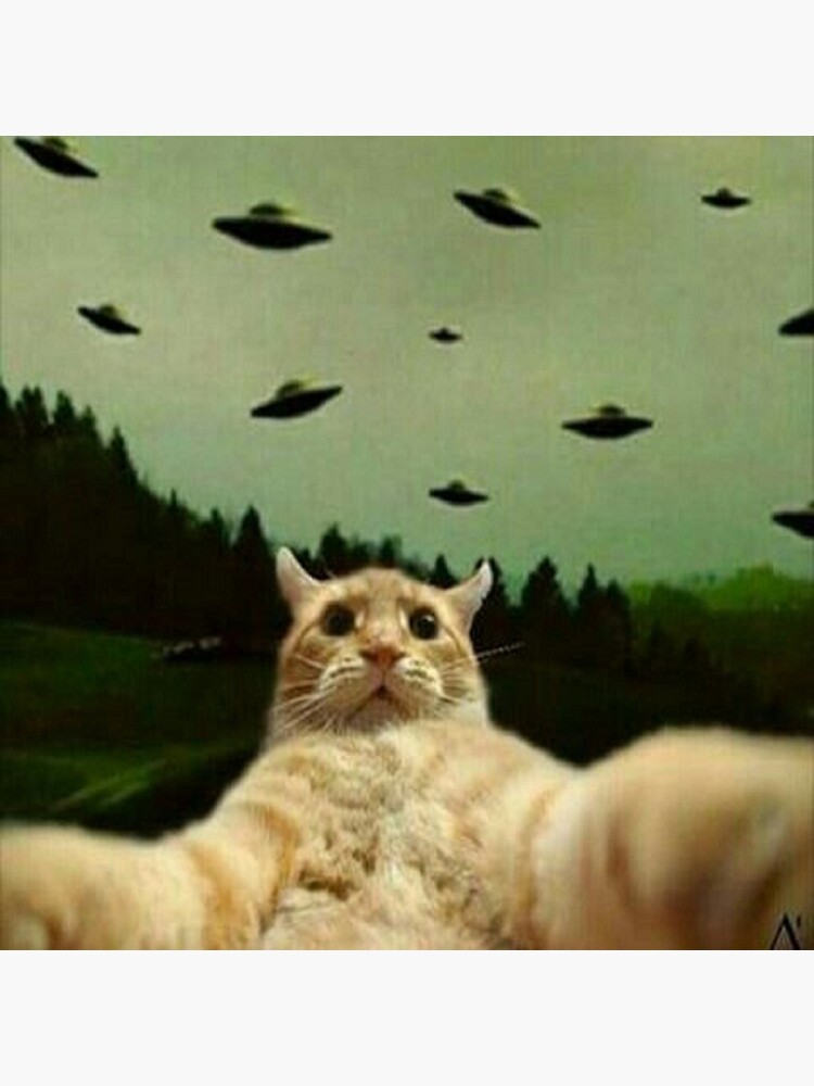 "Funny Cat With UFO" Poster for Sale by nikopashko | Redbubble