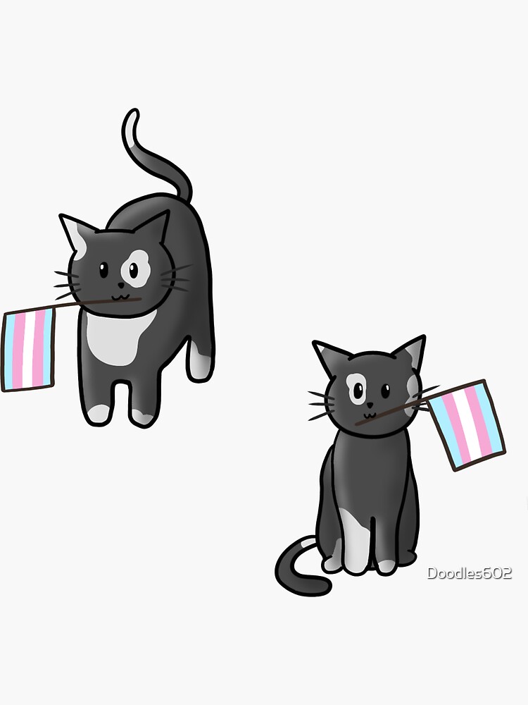 "Transgender Pride flag cat" Sticker for Sale by Doodles602 | Redbubble