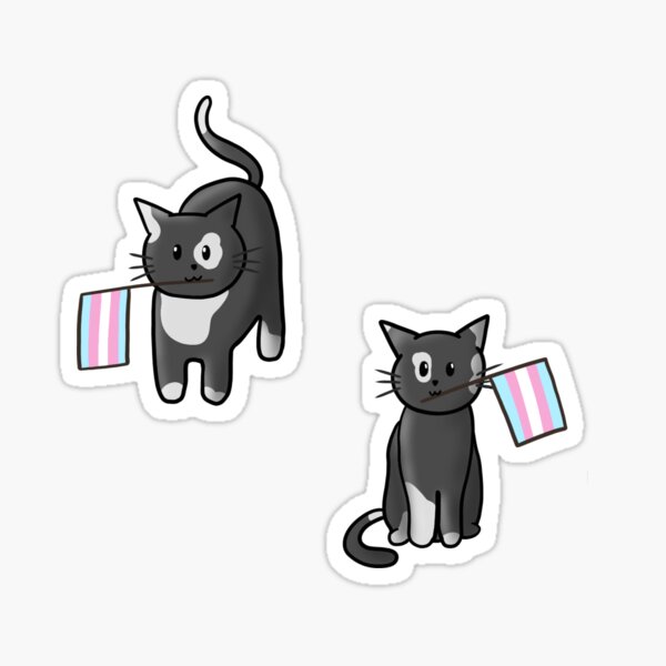 "Transgender Pride flag cat" Sticker for Sale by Doodles602 | Redbubble