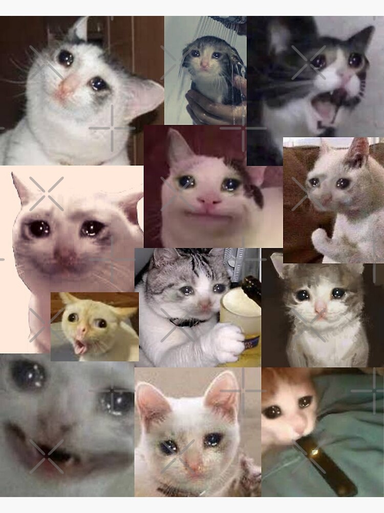 "Crying cats" Poster for Sale by Lagaleriri | Redbubble