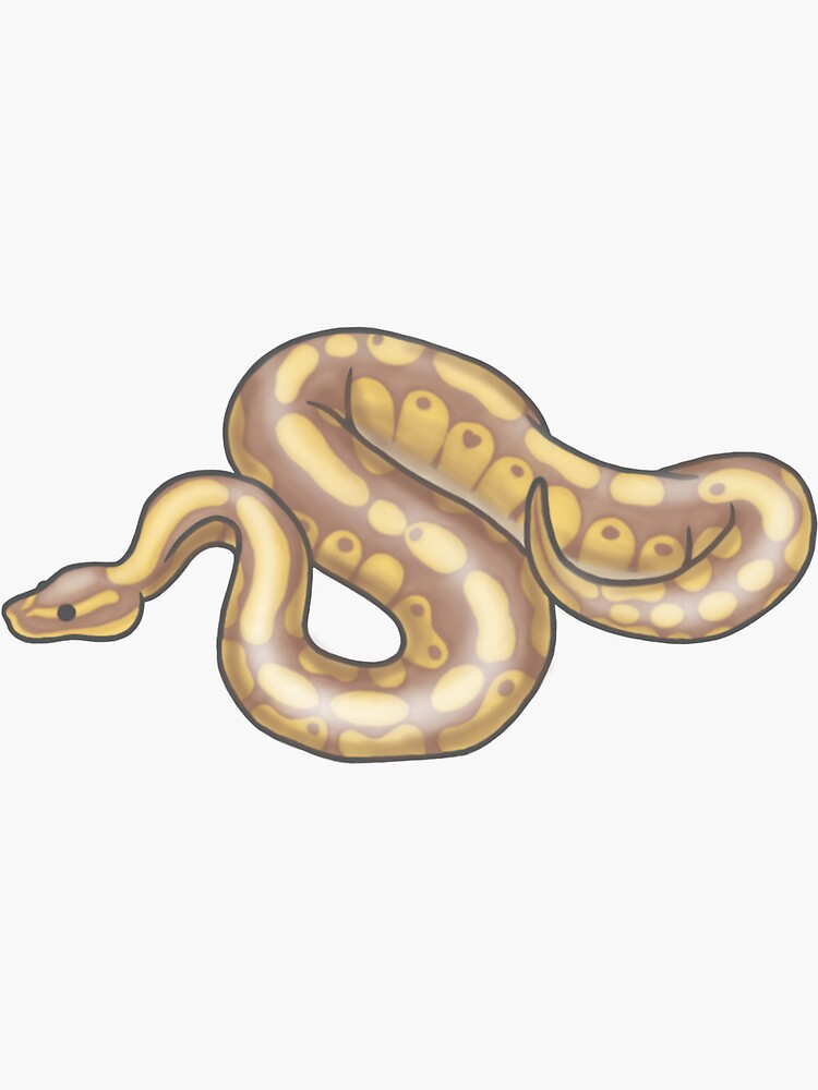 "Banana ball python " Sticker by CordieDittus | Redbubble
