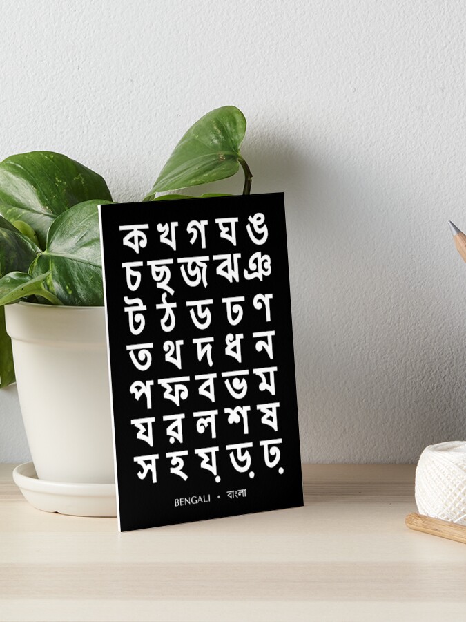 "Bengali Alphabet Chart, Bold Bangla Language Chart - Black" Art Board ...