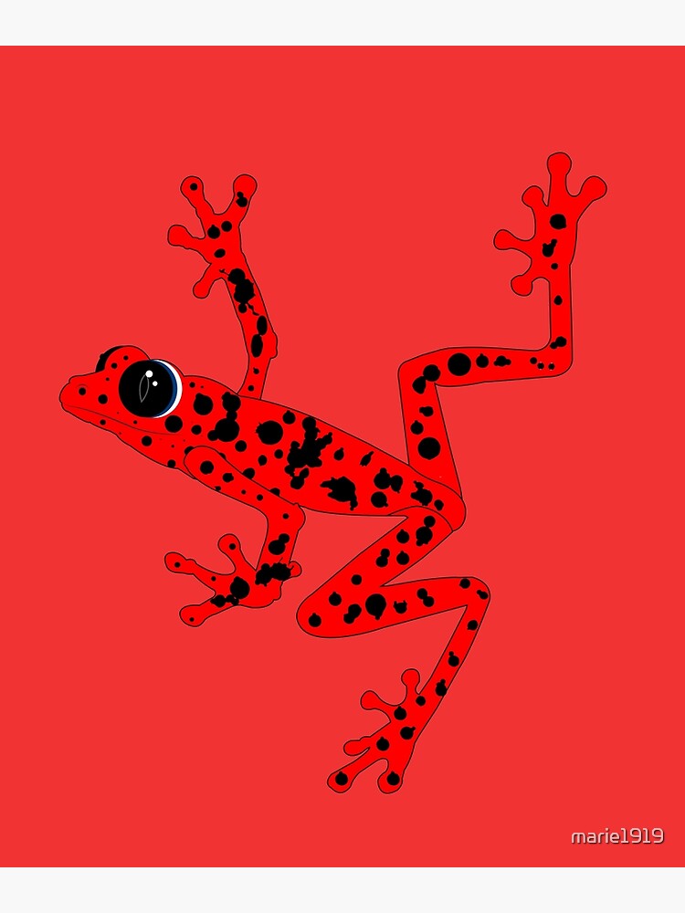 " SUMER FROG PATTERS OF 2022.." Poster for Sale by marie1919 | Redbubble