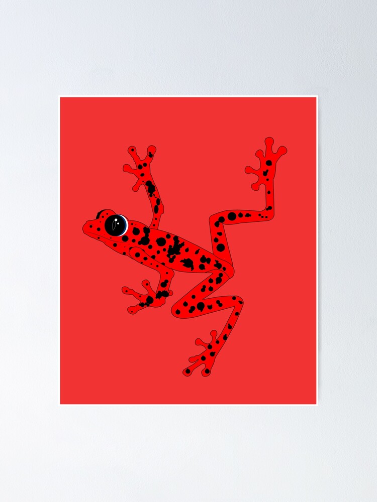 " SUMER FROG PATTERS OF 2022.." Poster for Sale by marie1919 | Redbubble