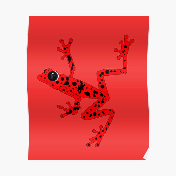 " SUMER FROG PATTERS OF 2022.." Poster for Sale by marie1919 | Redbubble