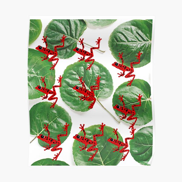 " SUMER FROG PATTERS OF 2022.." Poster for Sale by marie1919 | Redbubble