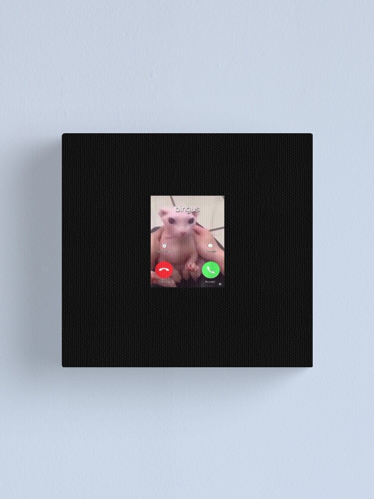 " bingus cat meme bingus cat meme bingus cat meme" Canvas Print for ...
