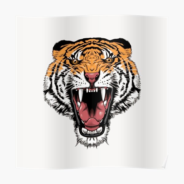 "Beautiful ferocious tiger opening his mouth facing you" Poster for ...