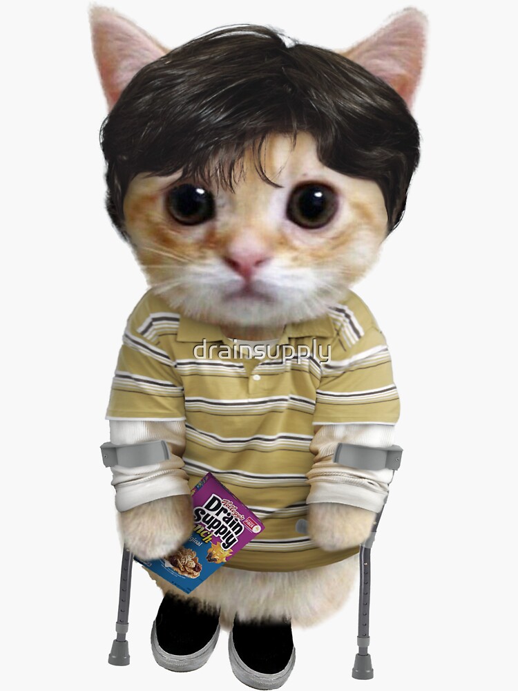 "Walter Jr. Kitty" Sticker for Sale by drainsupply | Redbubble