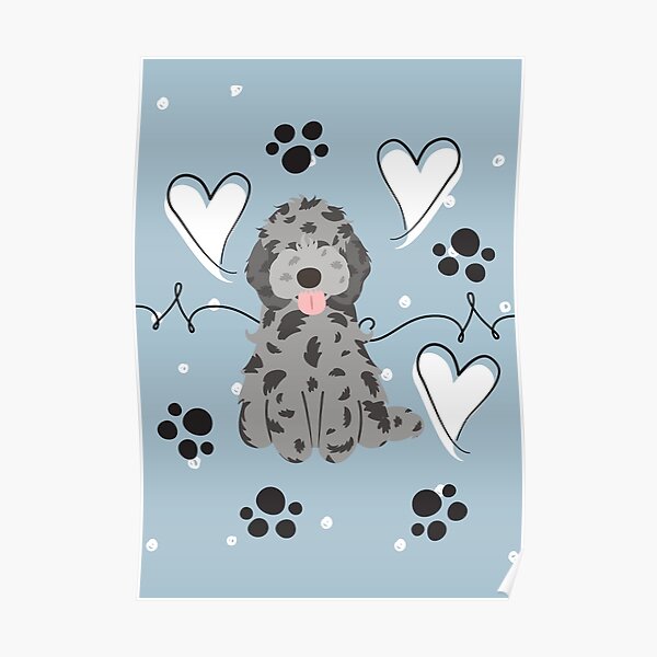 "Love Blue Merle Cockapoo Cavapoo Cavoodle" Poster for Sale by ...