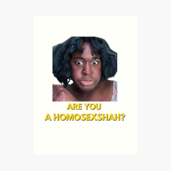 "are you a homosexshah terri joe t shirt | Psyiconic terri joe meme Tee ...