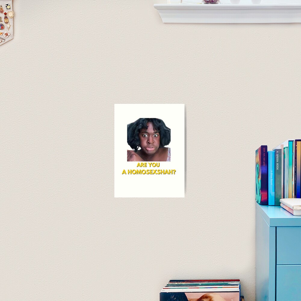 "are you a homosexshah terri joe t shirt | Psyiconic terri joe meme Tee ...