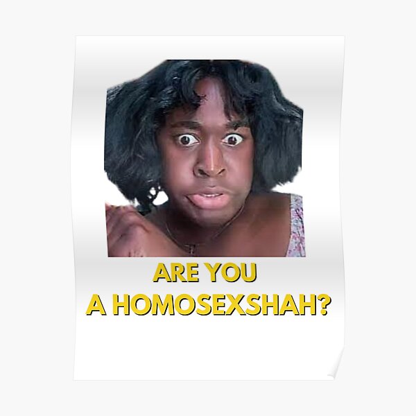 Póster «es usted un homosexshah terri joe de No encuentra el producto ...