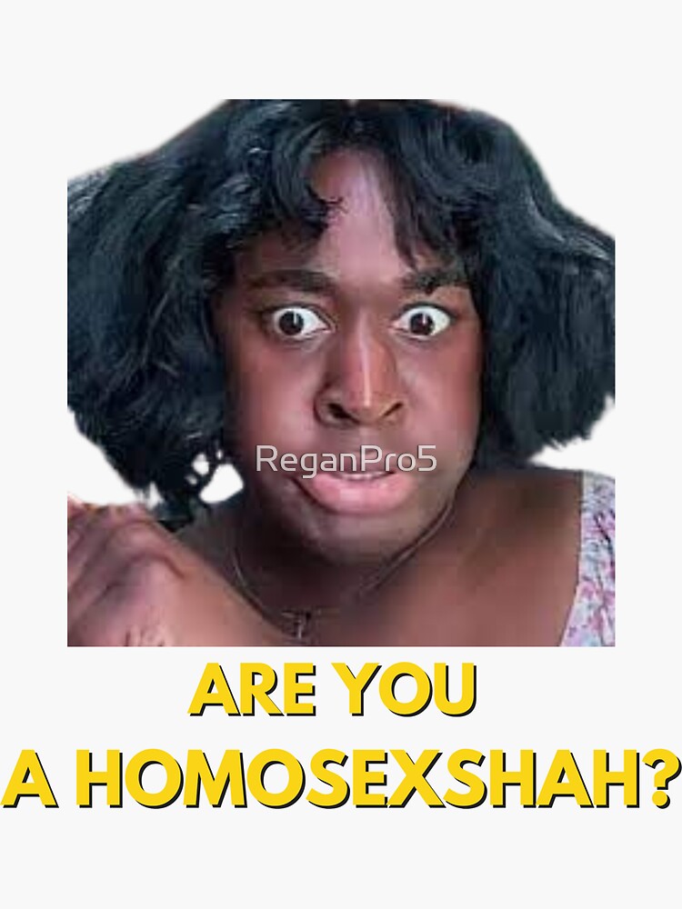 "are you a homosexshah terri joe t shirt | Psyiconic terri joe meme Tee ...