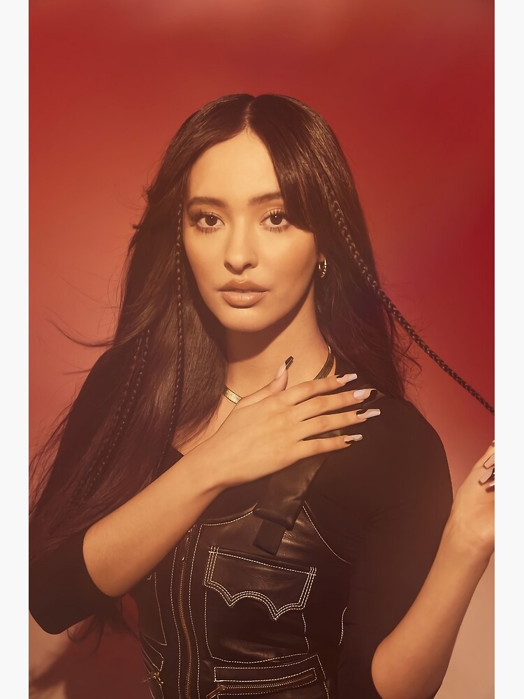 "Faouzia Photoshoot" Poster for Sale by heatherjel | Redbubble