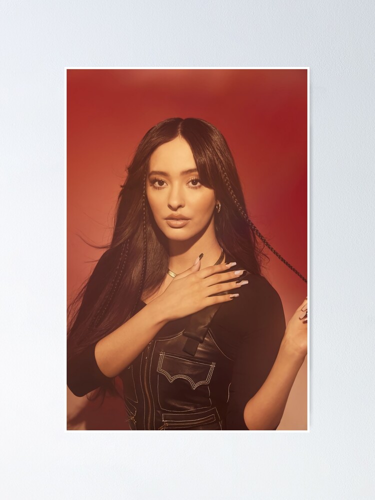 "Faouzia Photoshoot" Poster for Sale by heatherjel | Redbubble