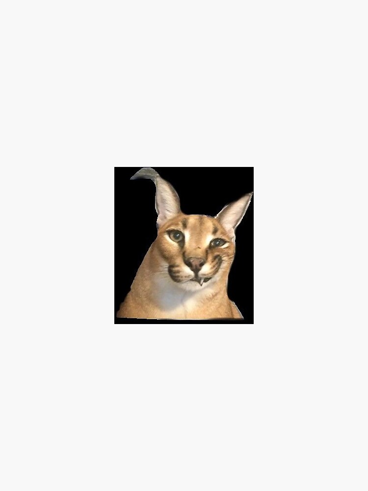 "shlepa cat шлепа hecker cat" Sticker for Sale by Nazzrin | Redbubble
