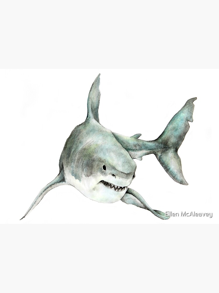 "Great White" Sticker for Sale by E-McAleavey | Redbubble