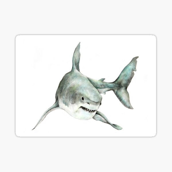 "Great White" Sticker for Sale by E-McAleavey | Redbubble