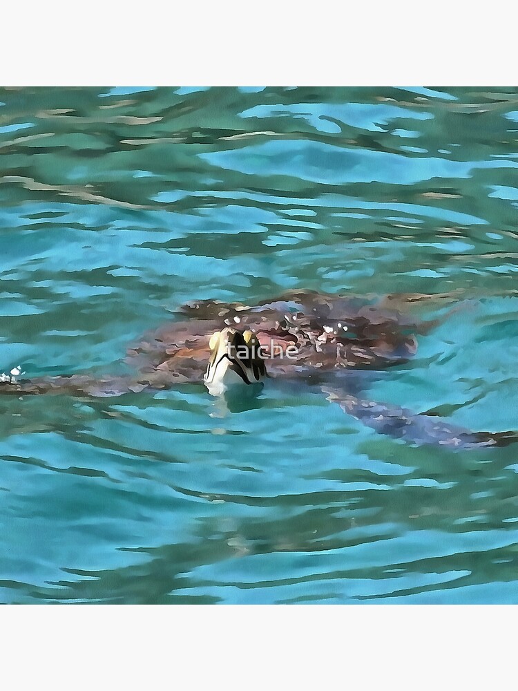 "Loggerhead Sea Turtle Wildlife Art" Poster for Sale by taiche | Redbubble