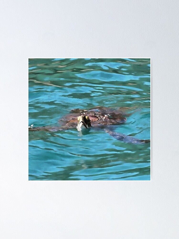"Loggerhead Sea Turtle Wildlife Art" Poster for Sale by taiche | Redbubble