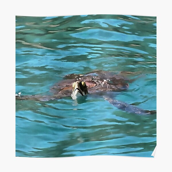 "Loggerhead Sea Turtle Wildlife Art" Poster for Sale by taiche | Redbubble