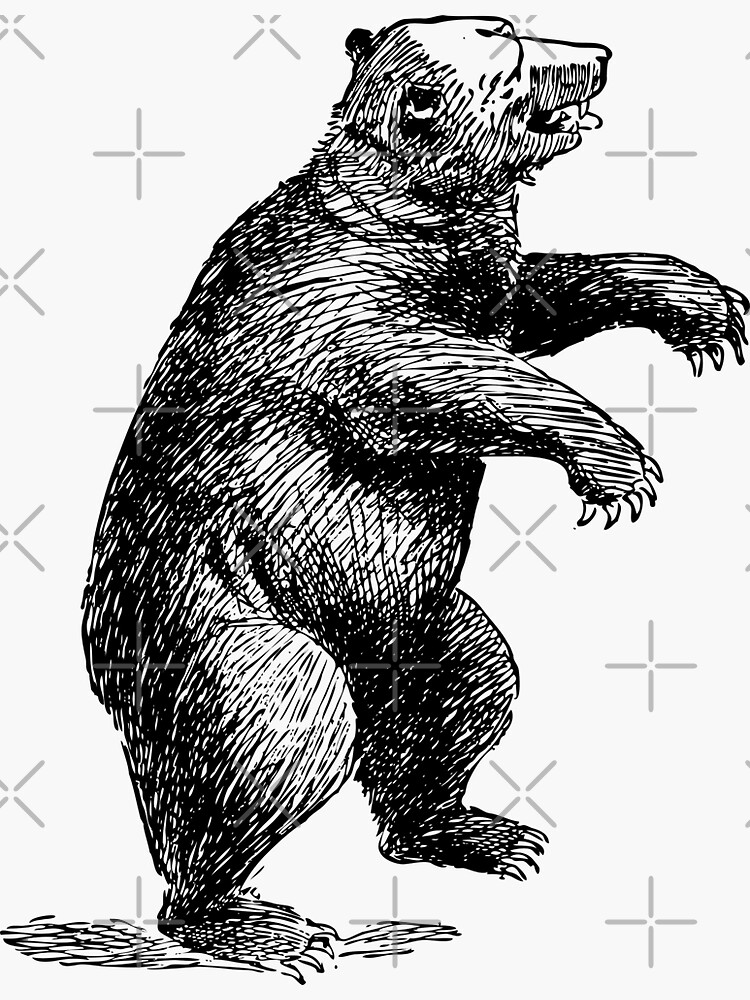 "Vintage bear" Sticker for Sale by hrcdesign | Redbubble