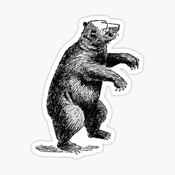 "Vintage bear" Sticker for Sale by hrcdesign | Redbubble