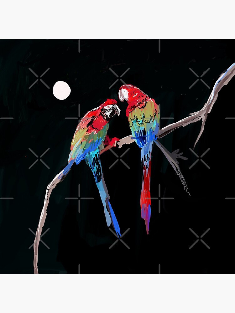 Lámina fotográfica «Dos guacamayos sentados en una rama de árbol poster ...