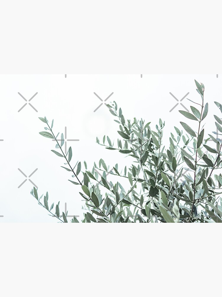 "Silver Olive tree" Sticker for Sale by TheNinthMemory | Redbubble