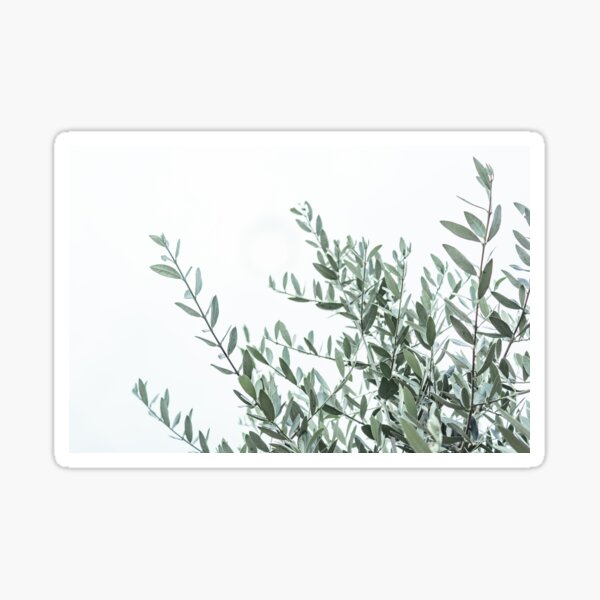"Silver Olive tree" Sticker for Sale by TheNinthMemory | Redbubble