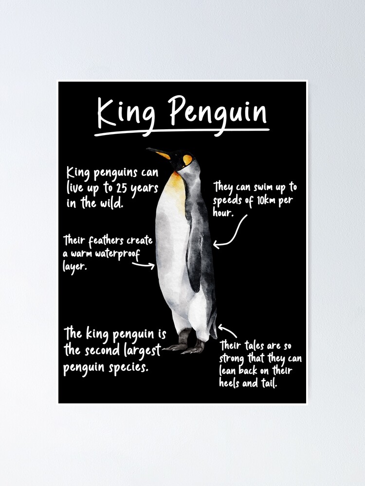 "King Penguin Facts - Fun Animal Facts" Poster for Sale by Will-273 ...
