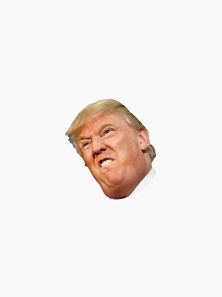 "Donald Trump Head" Sticker by sallygr4 | Redbubble