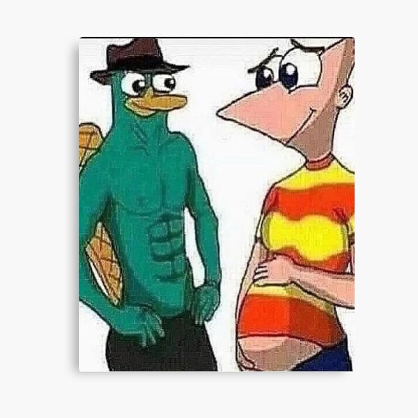 "Pregnant Phineas Meme " Canvas Print for Sale by Greg Heffley | Redbubble