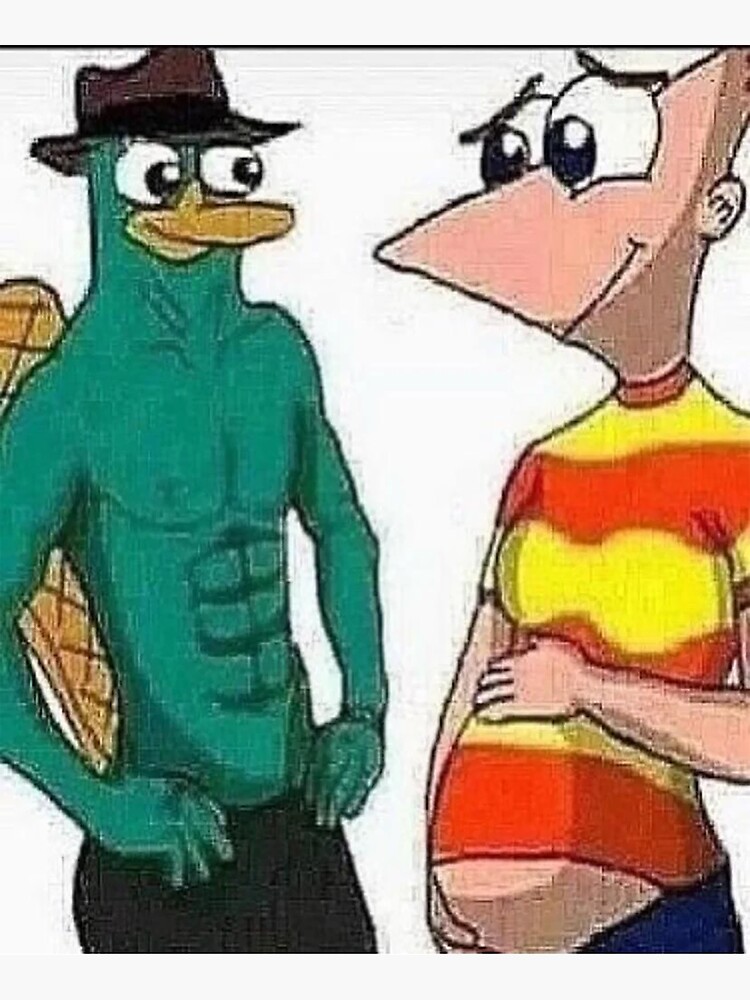 "Pregnant Phineas Meme " Sticker for Sale by gketheredge | Redbubble