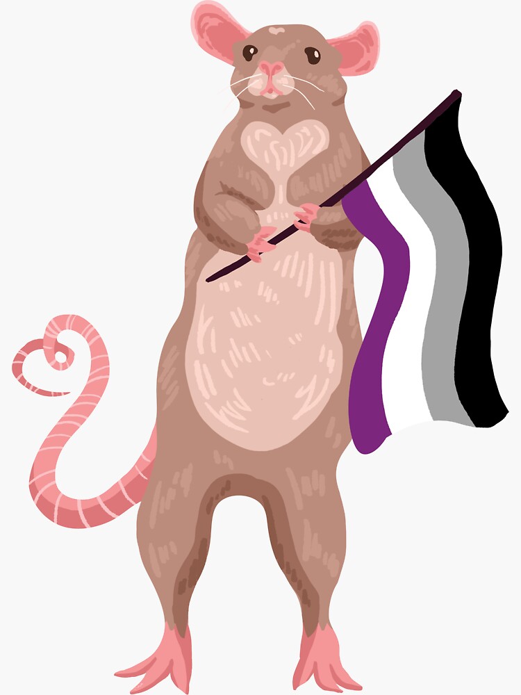 "Pride Rat (Asexual Pride Flag)" Sticker by SquashShop | Redbubble