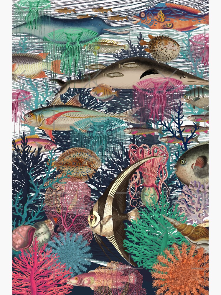 "Biodiversity Underwater World" Sticker for Sale by H-W-Design | Redbubble
