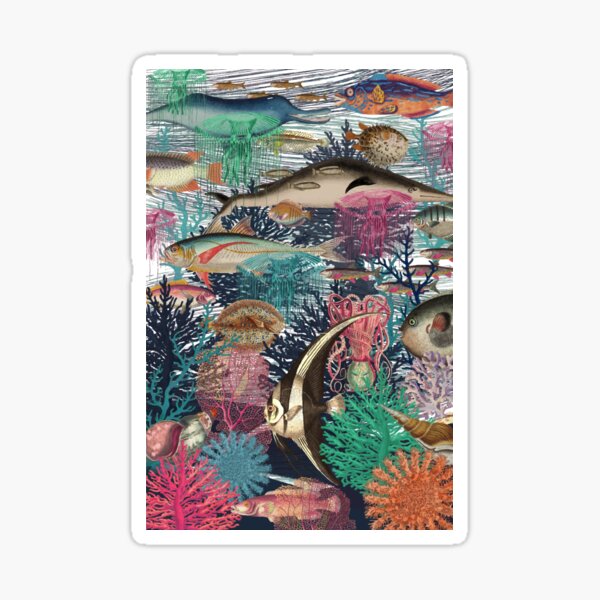 "Biodiversity Underwater World" Sticker for Sale by H-W-Design | Redbubble