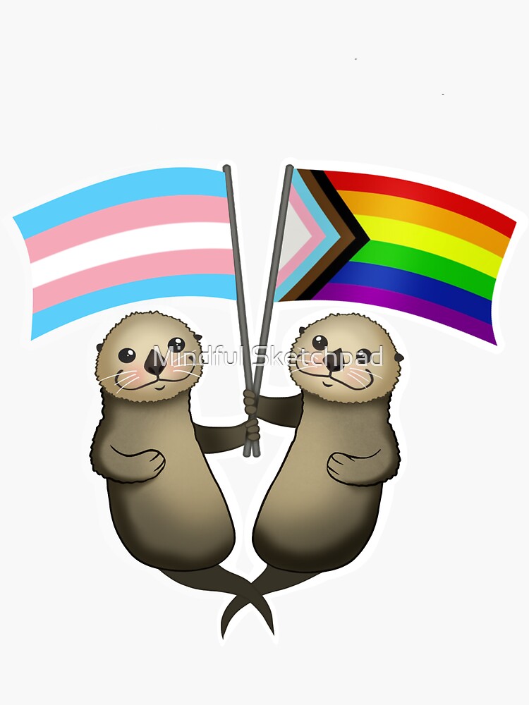 "Transgender and LGBT Progress Flag" Sticker by devxnwilson | Redbubble