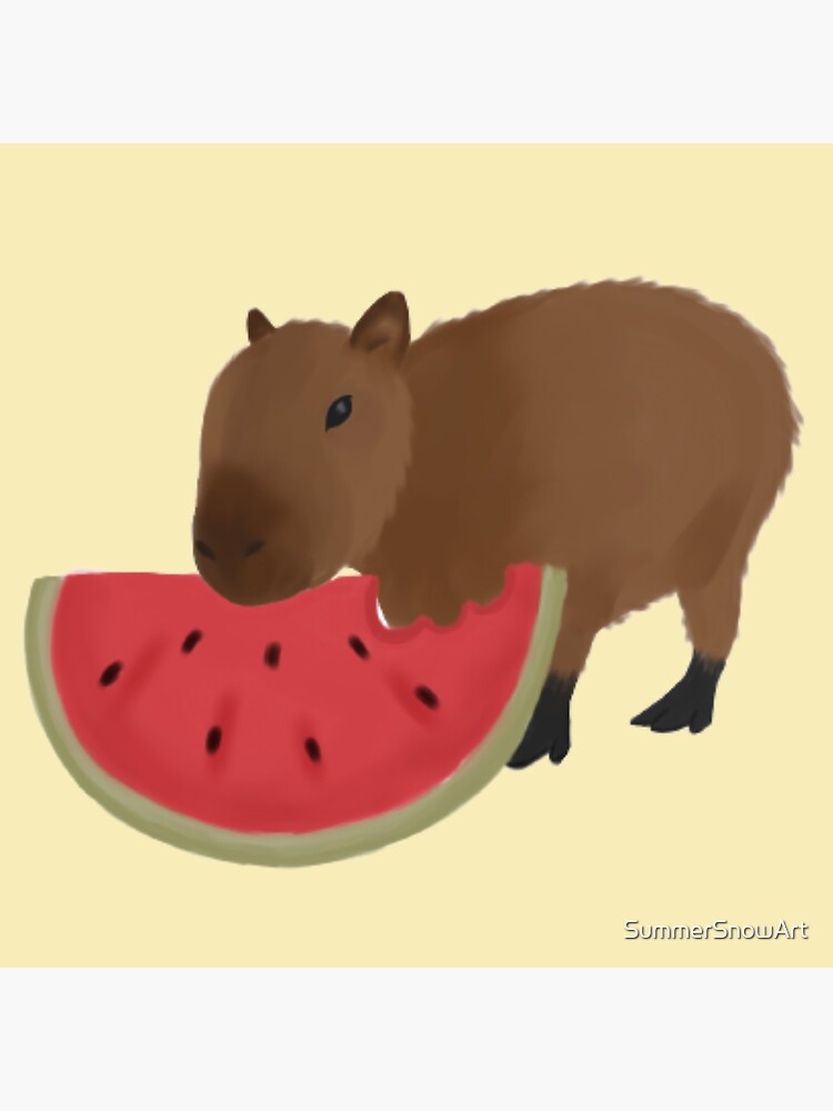"Capybara eating watermelon" Poster for Sale by SummerSnowArt | Redbubble