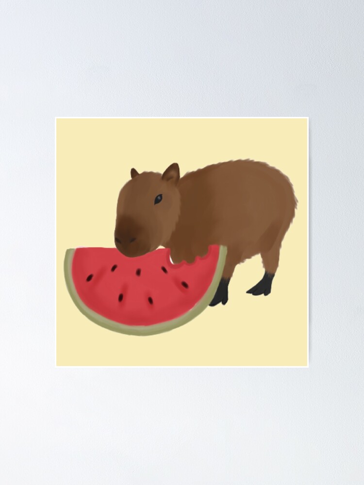 "Capybara eating watermelon" Poster for Sale by SummerSnowArt | Redbubble
