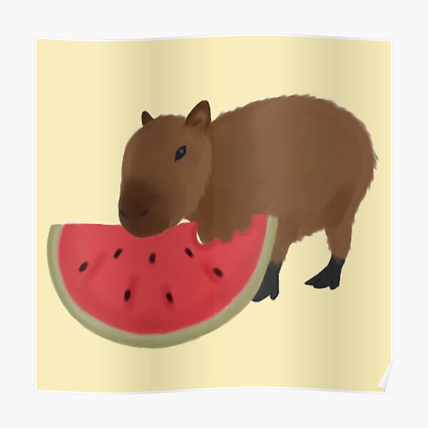 "Capybara eating watermelon" Poster for Sale by SummerSnowArt | Redbubble