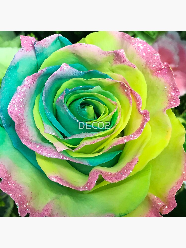 "PRIDE LGBTQIA: Rainbow-Colored Roses With (Faux) Sparkles" Sticker by ...